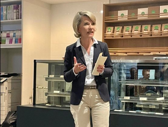 ASIE - FRANCE : Anne Genetet défend le budget 2023 du gouvernement ...