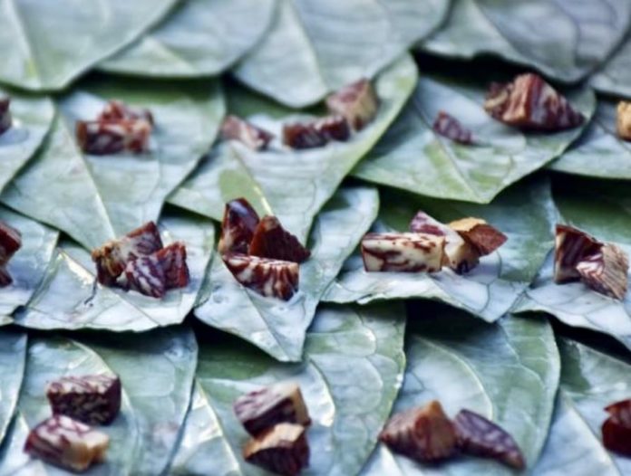 BIRMANIE - PATRIMOINE : Chiquer le bétel, un art birman - Gavroche ...